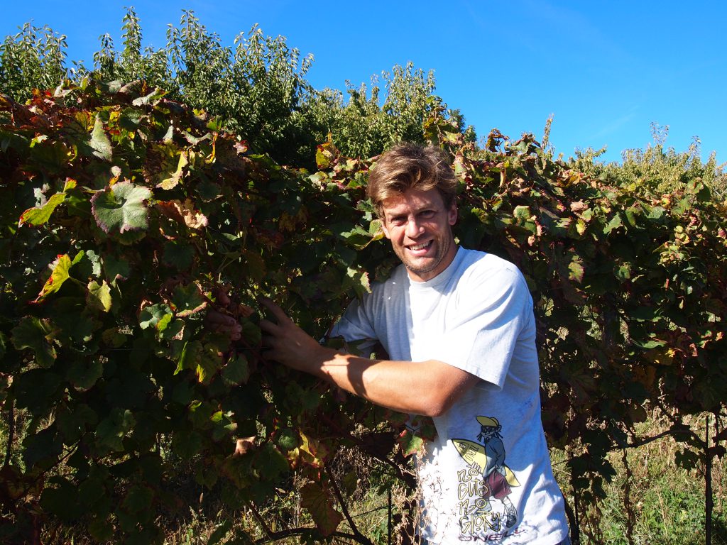 造り手紹介 Daniele Piccinin / ダニエーレ ピッチニン | 株式会社ヴィナイオータ